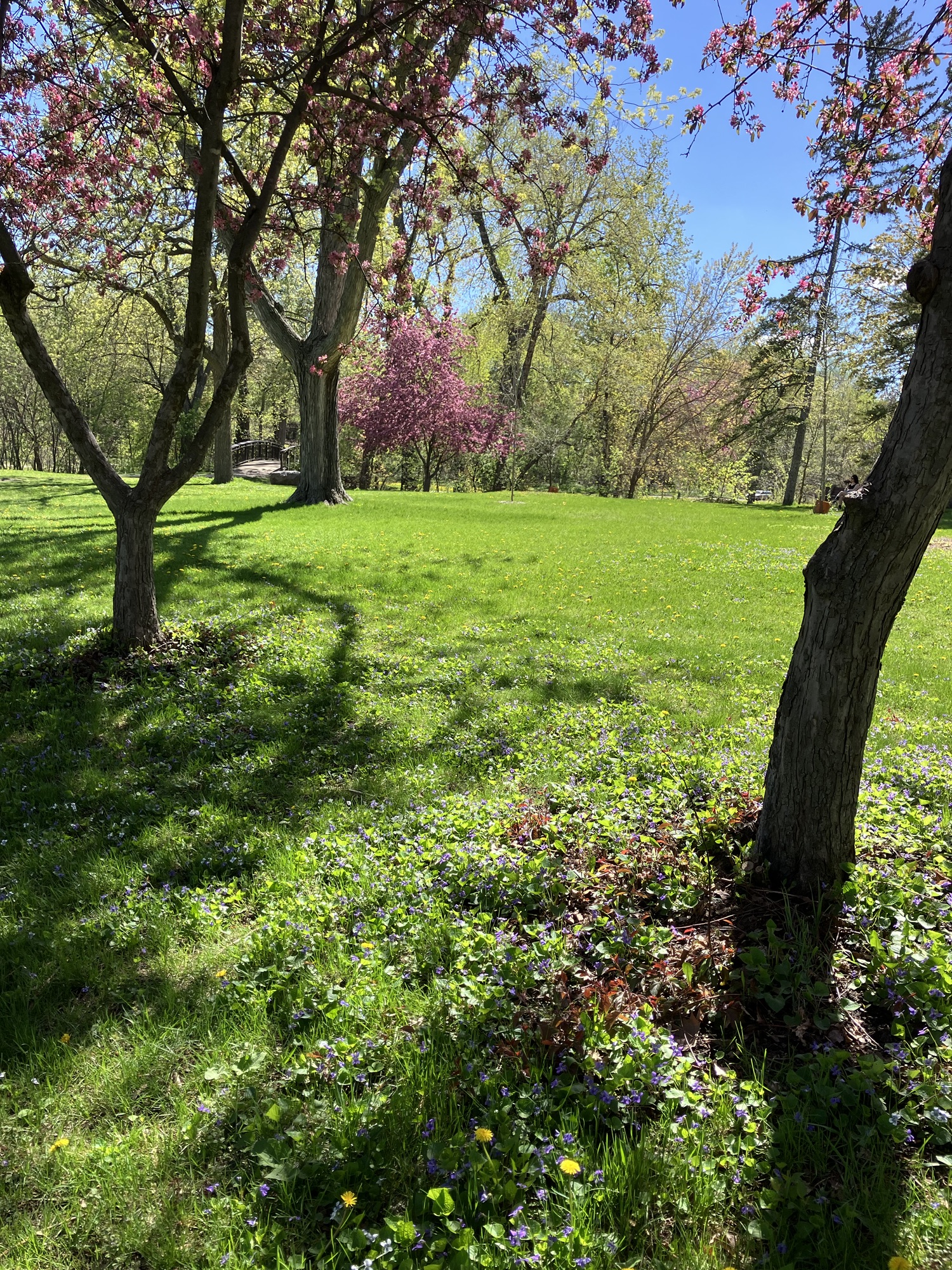 Minnehaha Creek – Minneapolis, MN – Nature In Your Nurture