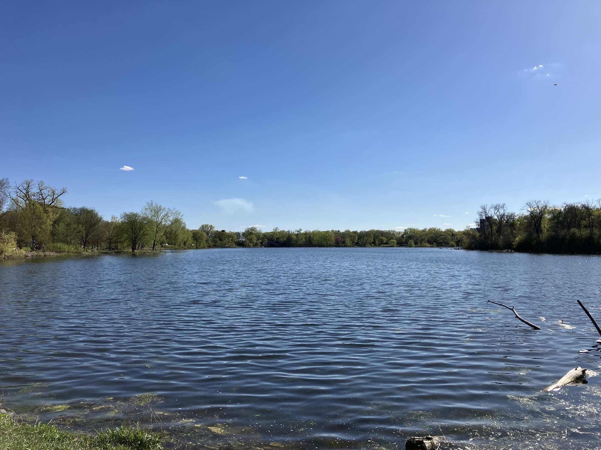 Lake of the Isles – Minneapolis, MN – Nature In Your Nurture