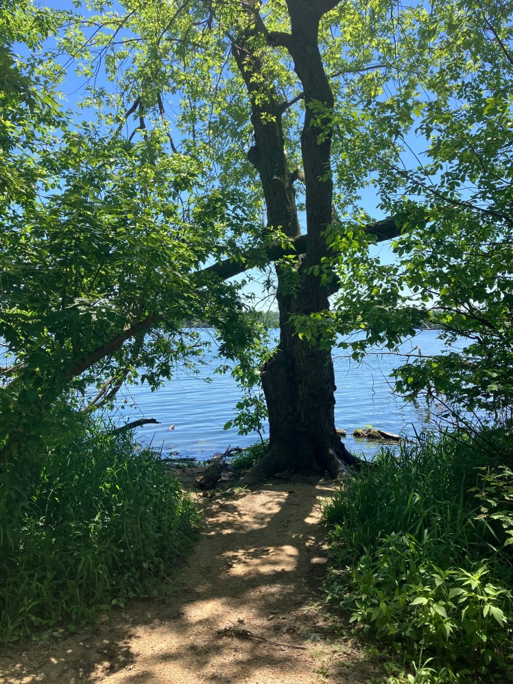 Picnic Point – Madison, WI – Nature In Your Nurture