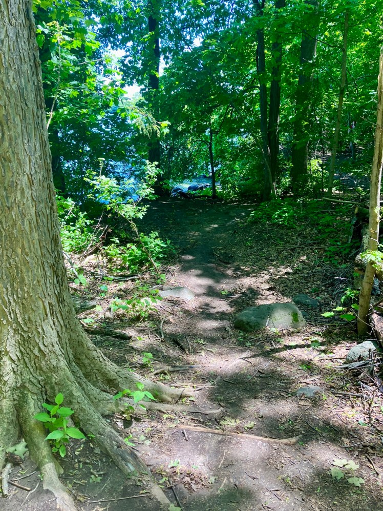 Picnic Point – Madison, WI – Nature In Your Nurture