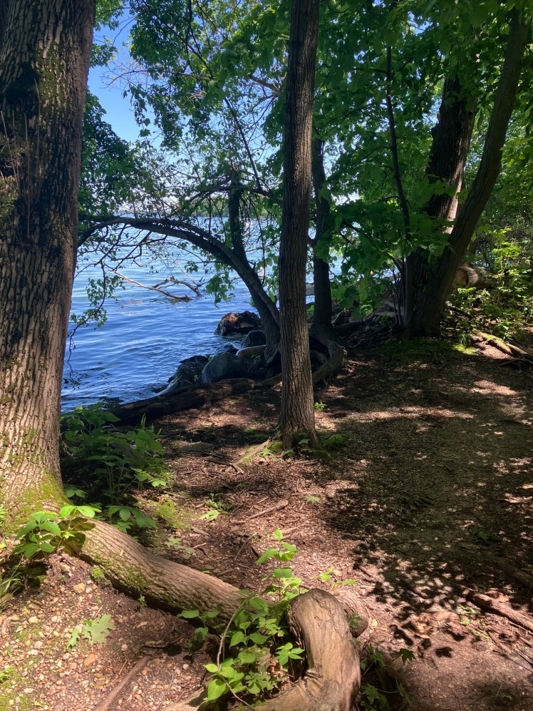 Picnic Point – Madison, WI – Nature In Your Nurture
