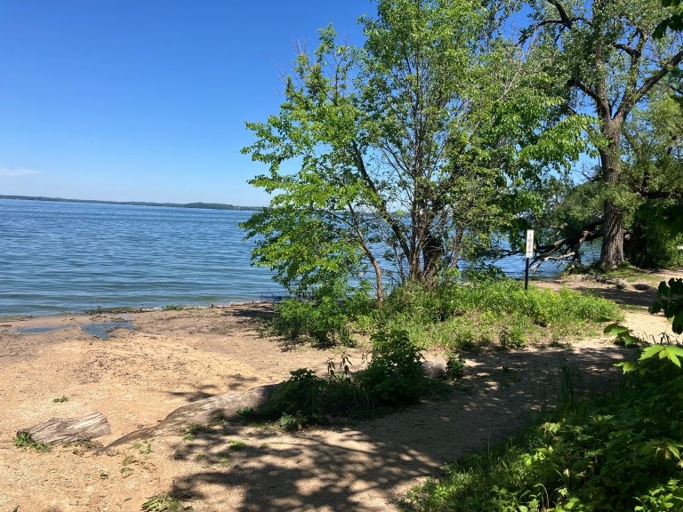 Picnic Point – Madison, WI – Nature In Your Nurture