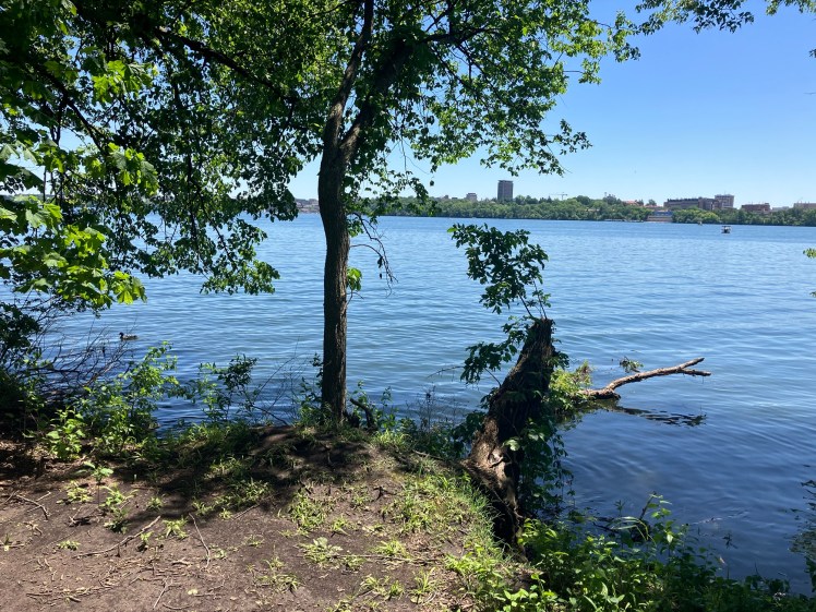 Picnic Point – Madison, WI – Nature In Your Nurture