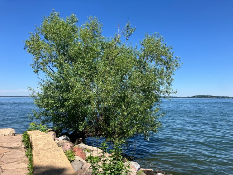 Picnic Point – Madison, WI – Nature In Your Nurture