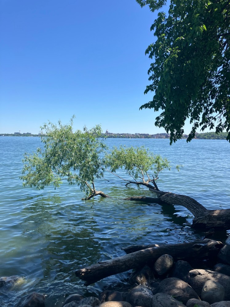 Picnic Point – Madison, WI – Nature In Your Nurture