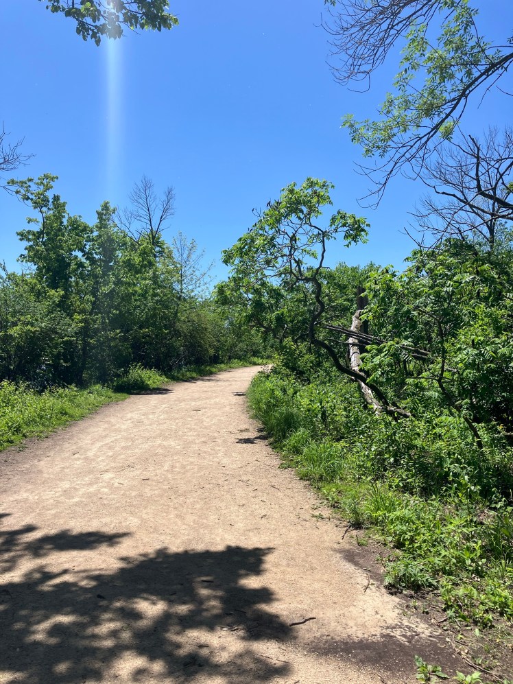 Picnic Point – Madison, WI – Nature In Your Nurture