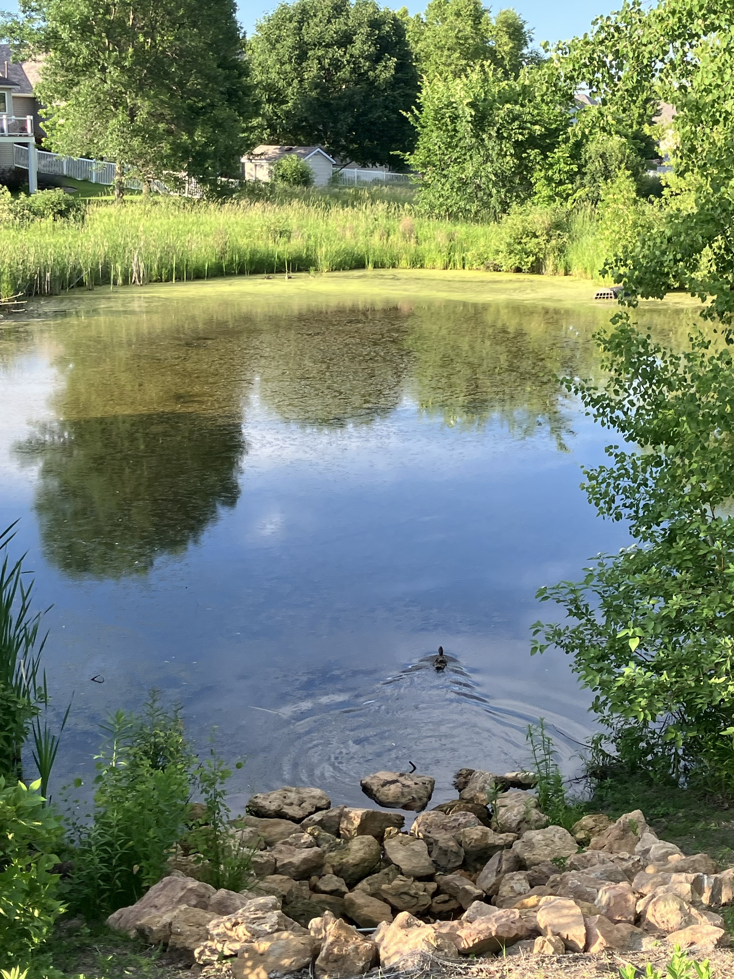 Gleason Fields – Maple Grove, MN – Nature In Your Nurture