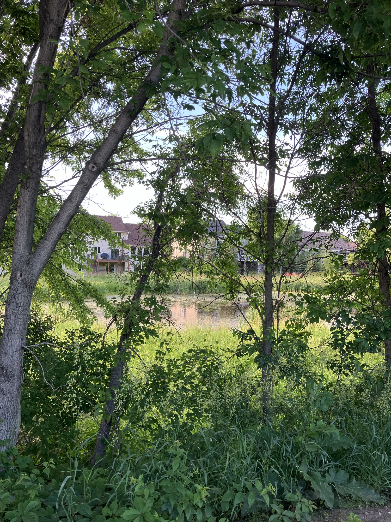 Gleason Fields – Maple Grove, MN – Nature In Your Nurture
