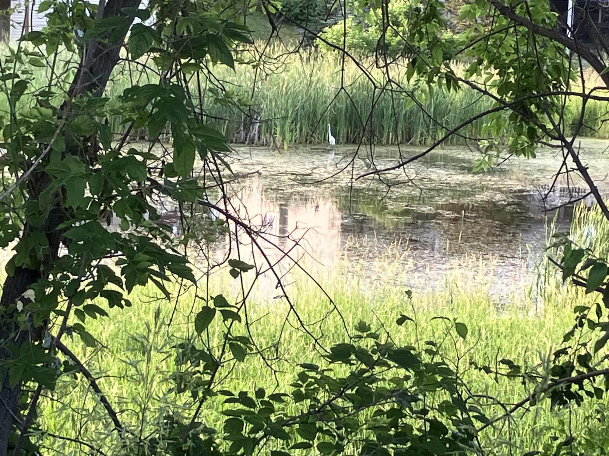 Gleason Fields – Maple Grove, MN – Nature In Your Nurture