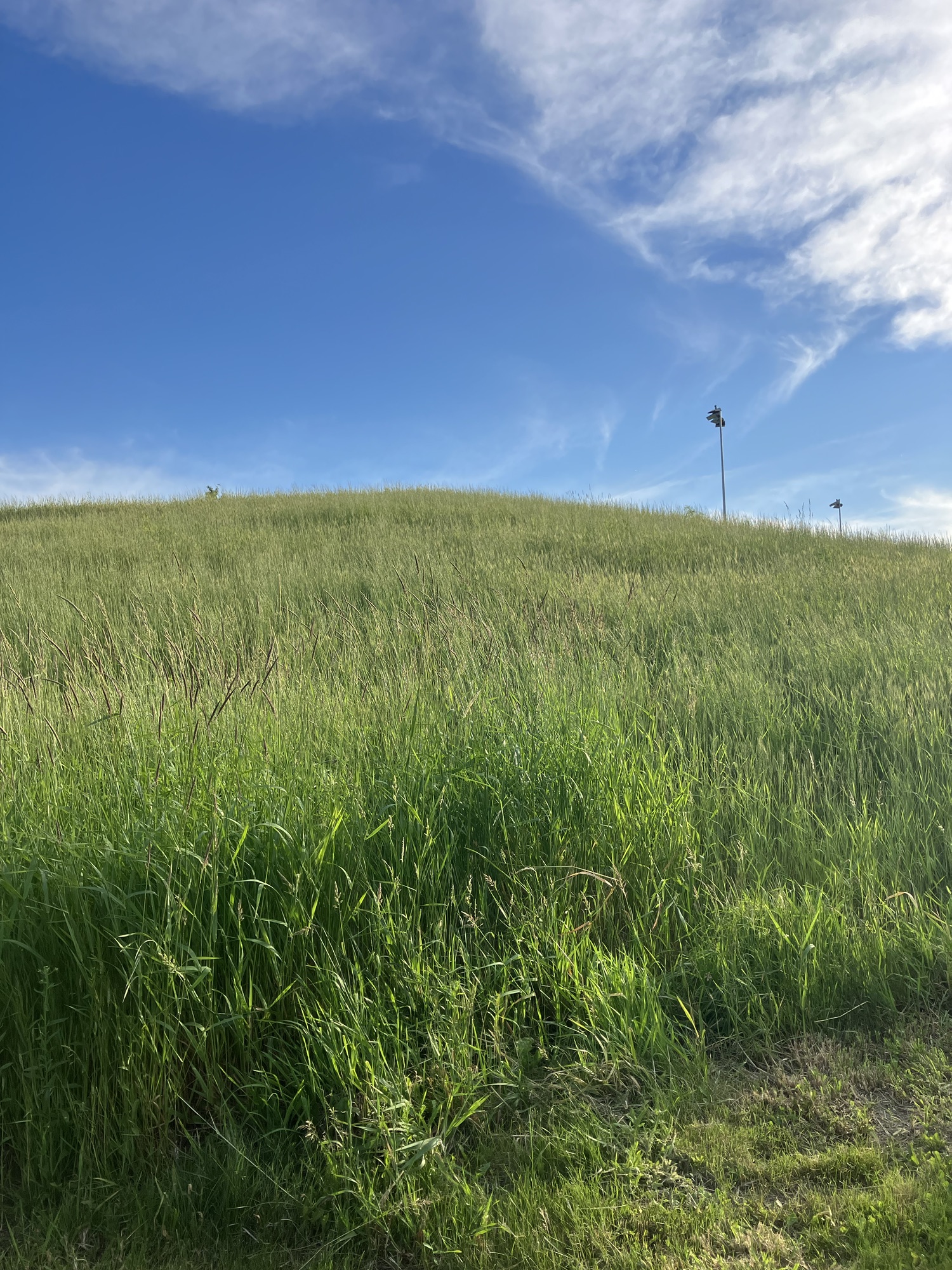 Gleason Fields – Maple Grove, MN – Nature In Your Nurture