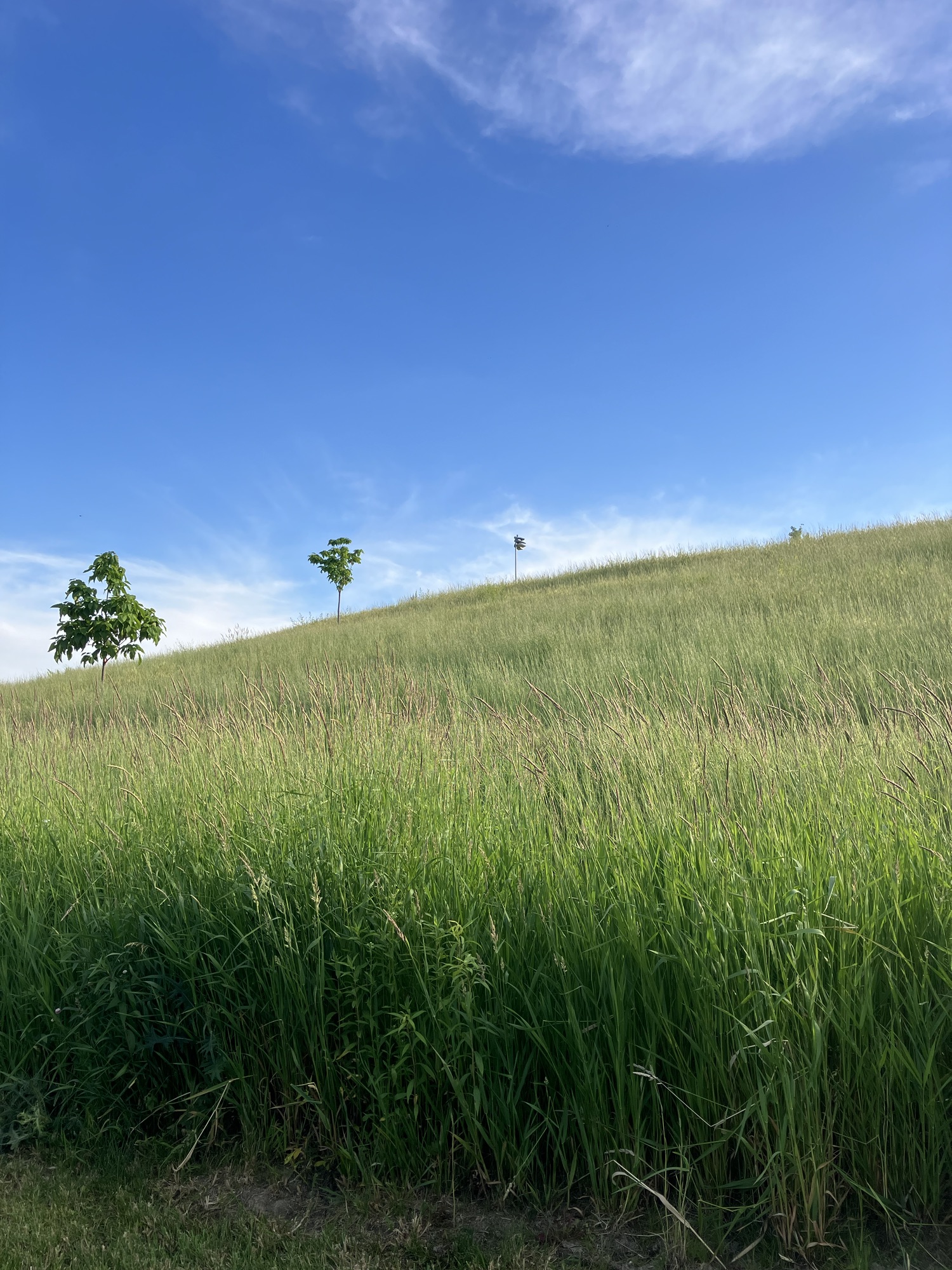 Gleason Fields – Maple Grove, MN – Nature In Your Nurture