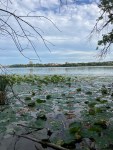 Picnic Point – Madison, WI – Nature In Your Nurture