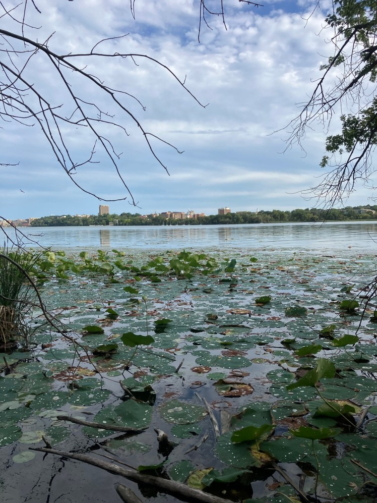Picnic Point – Madison, WI – Nature In Your Nurture