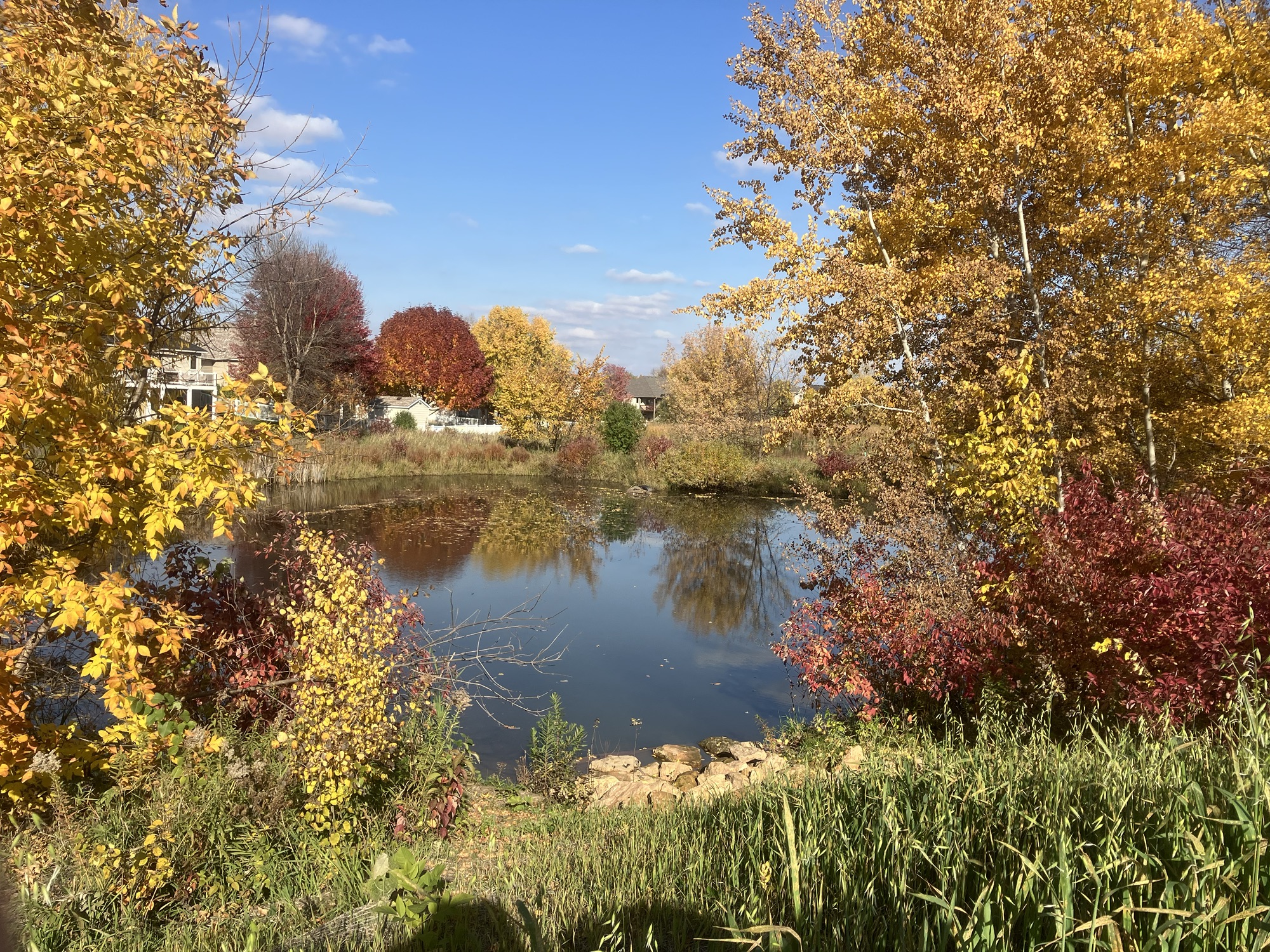 Gleason Fields – Maple Grove, MN – Nature In Your Nurture