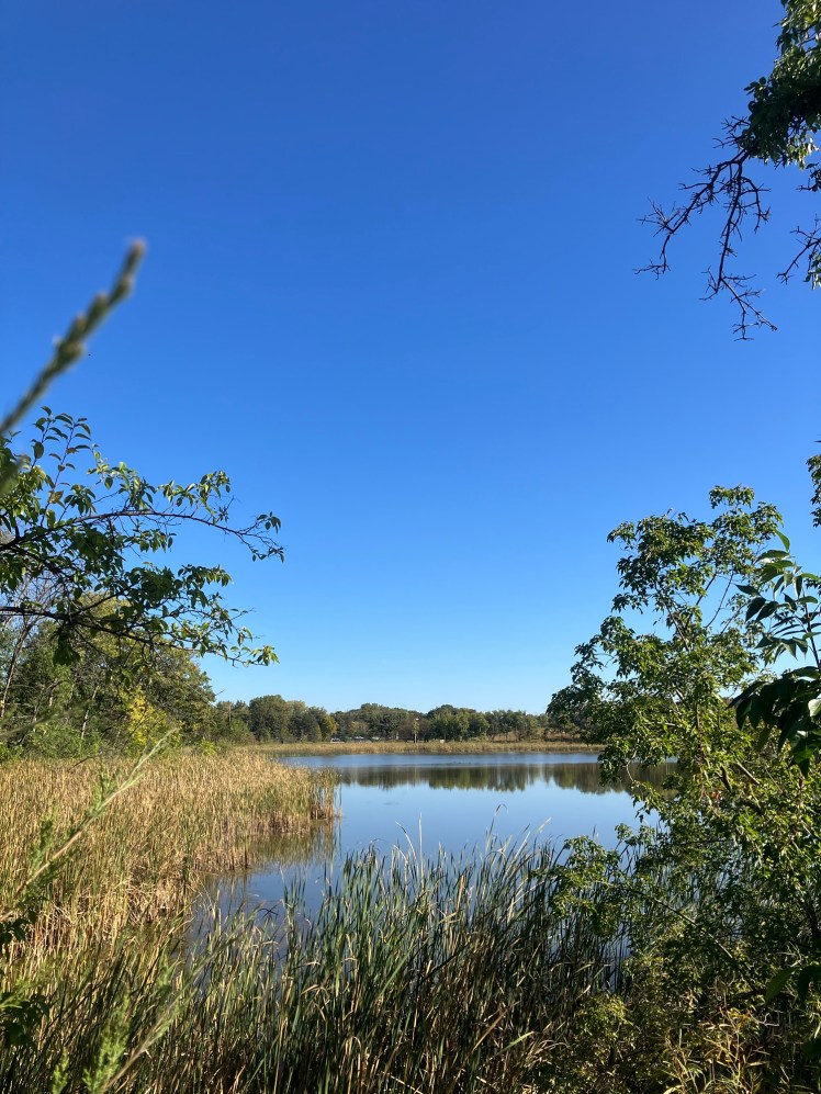 Rosland Park – Edina, MN – Nature In Your Nurture