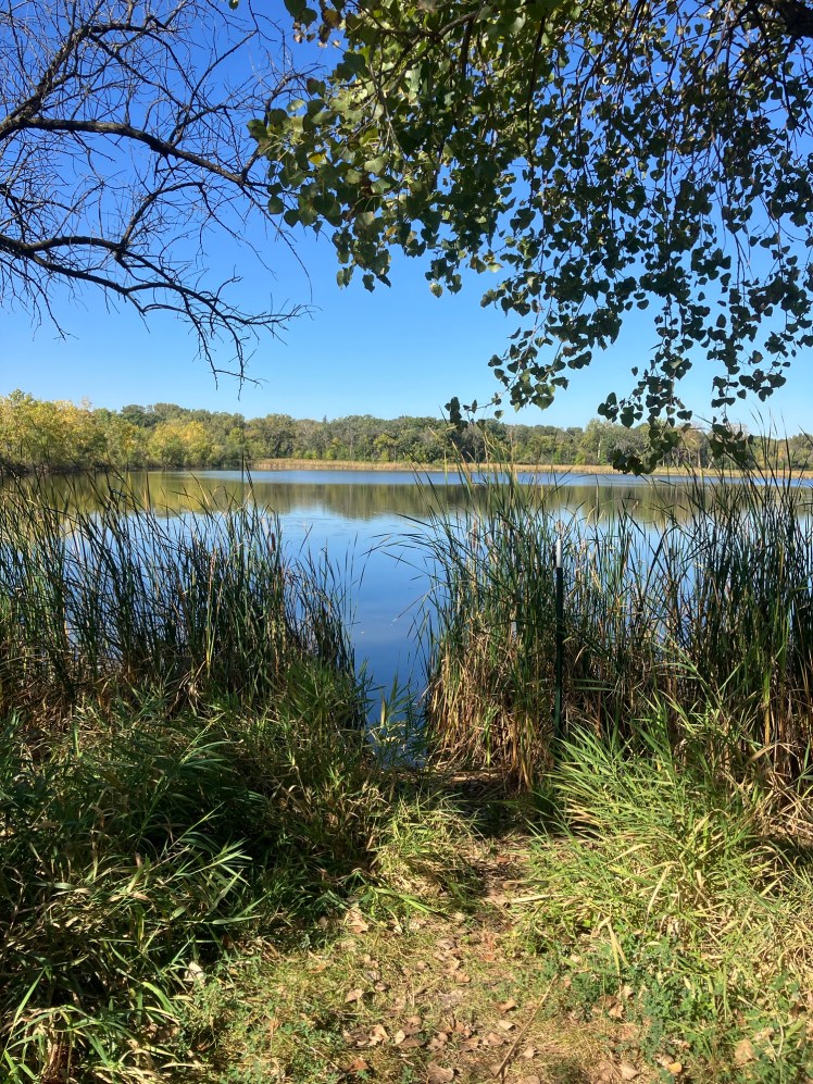 Rosland Park – Edina, MN – Nature In Your Nurture